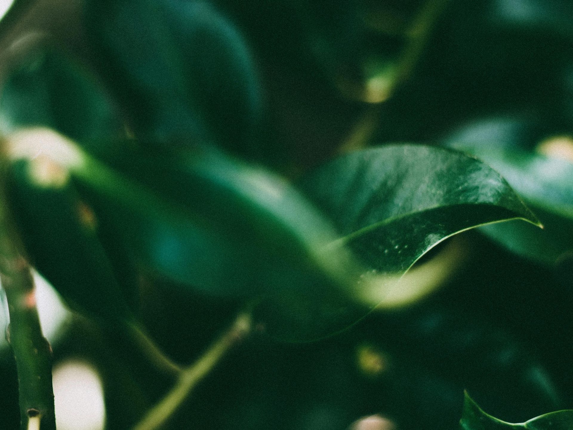 Statement on Ray Holmberg’s Decades of Abuse and Exploitation - North ...